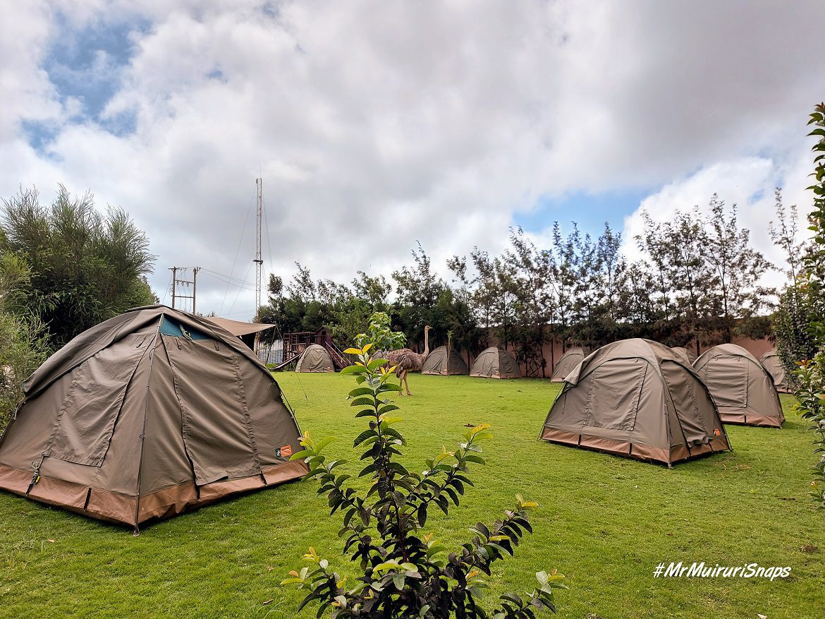 Camp Bunduz Overnight Group Birthday Getaway - Ease My Safari