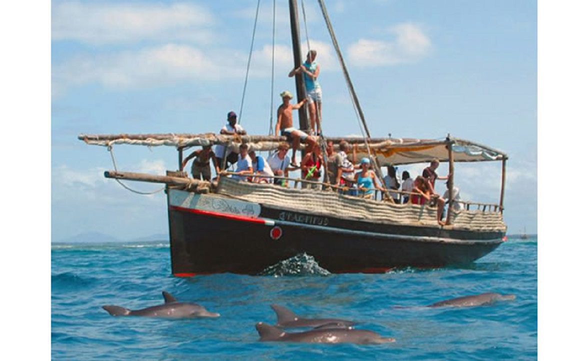 Wasini Island Dolphin & Snorkeling Adventure - Ease My Safari