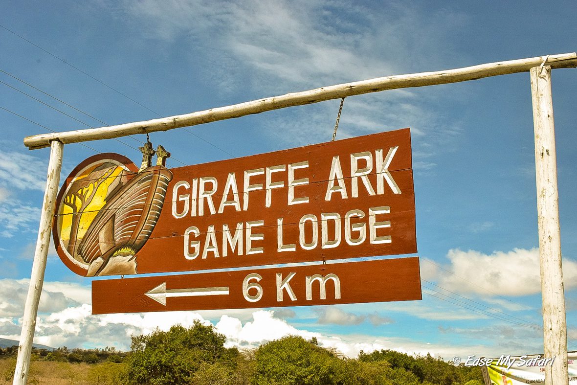 Giraffe Ark: A Hidden Gem in Nyeri, Mt. Kenya - Ease My Safari