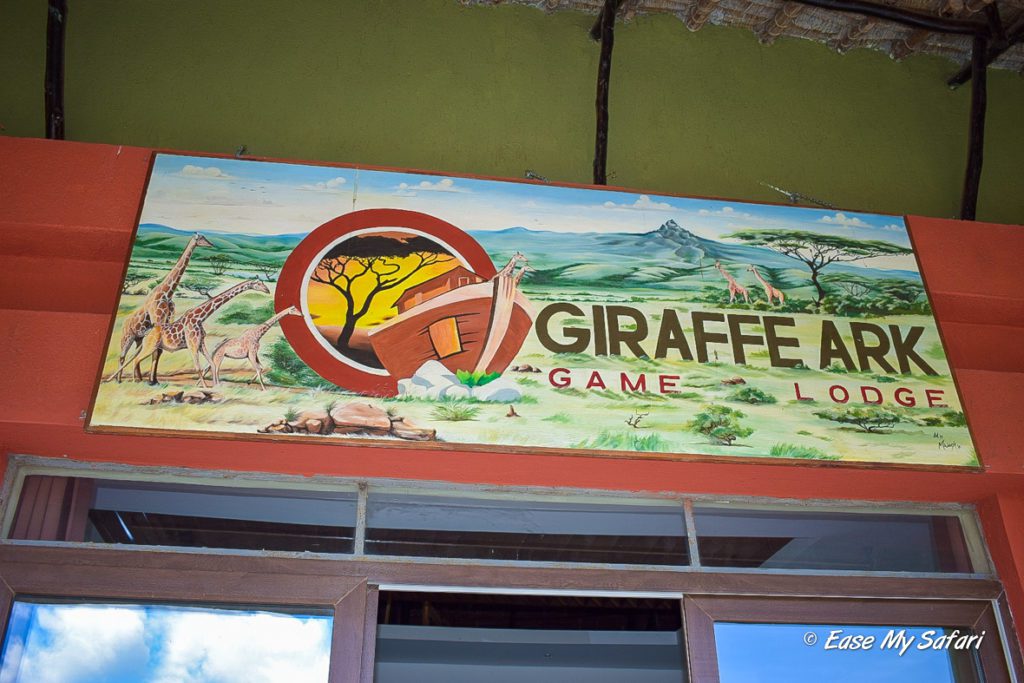 Giraffe Ark: A Hidden Gem in Nyeri, Mt. Kenya - Ease My Safari