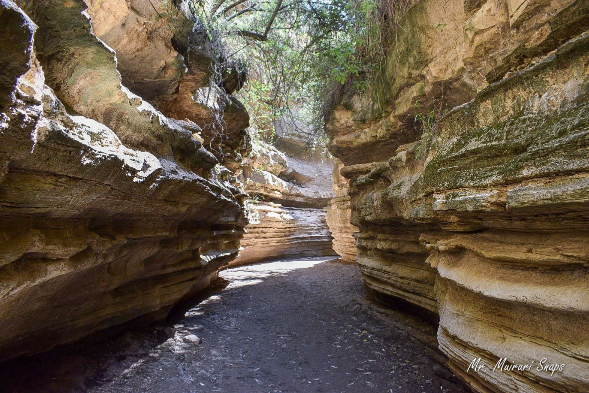 HELL'S GATE NATIONAL PARK: A walk on the wild side - Ease My Safari